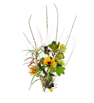 Hot Homesteader | California Native | Edible Plant Package | California ...