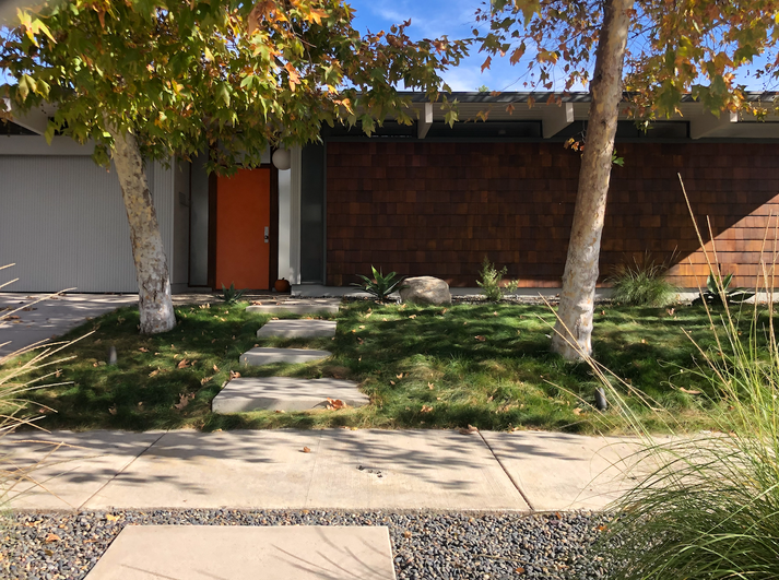 Shade-Friendly Native Lawn | California Fescue Grasses – California ...